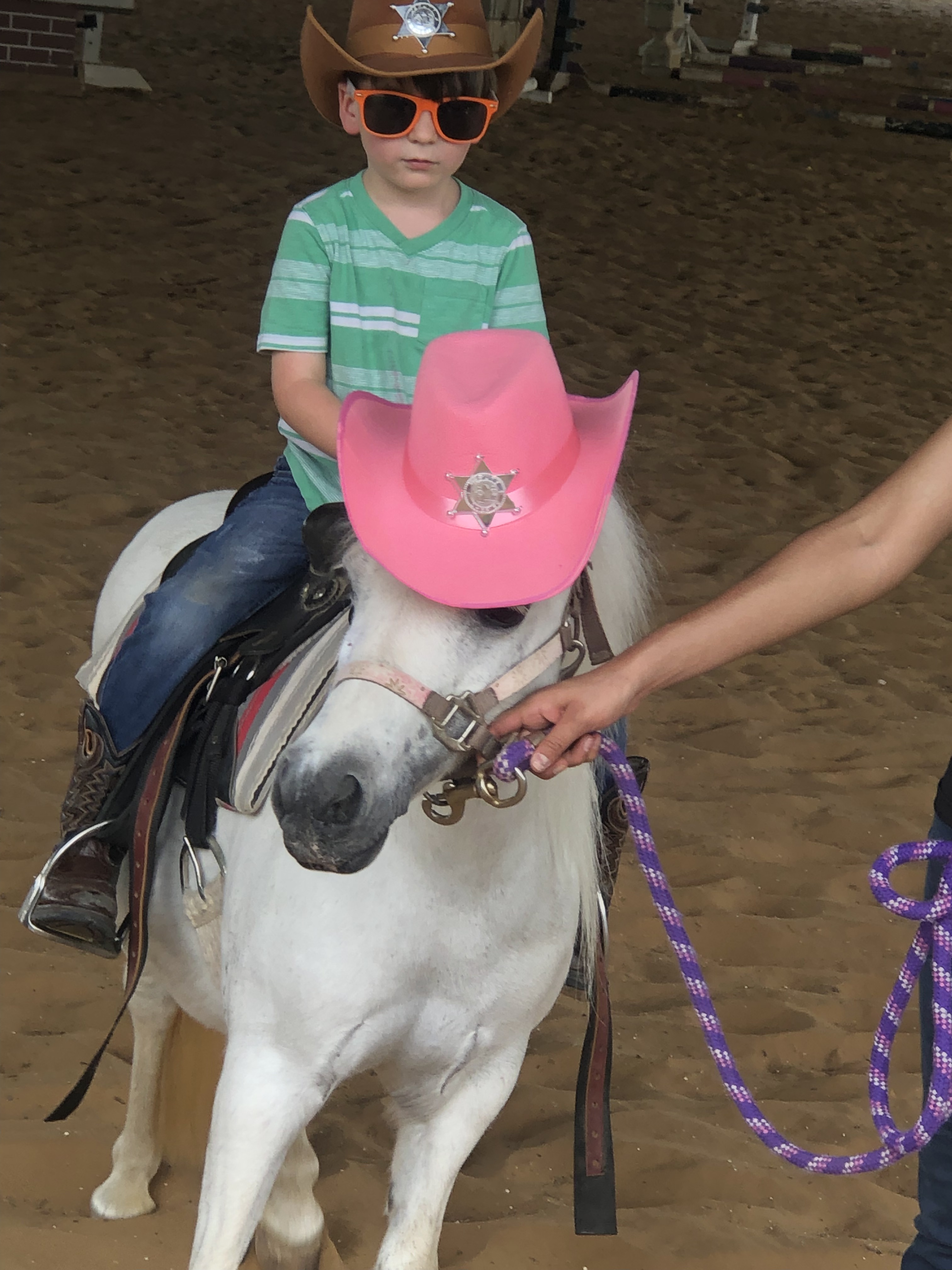 Texas Posh Pony Parties – Party service featuring one of a kind Gypsy ...