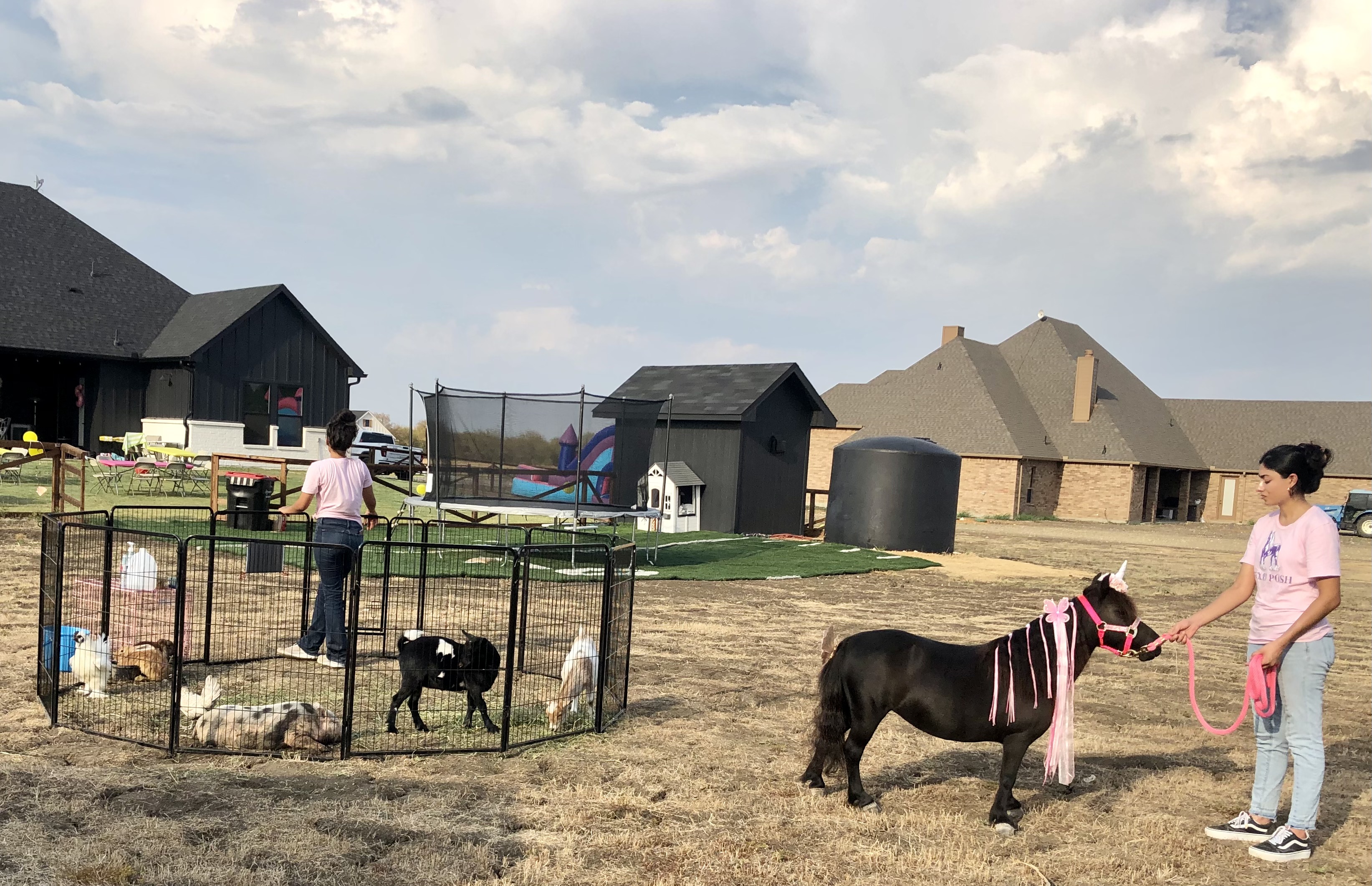 Petting Zoo – Texas Posh Pony Parties