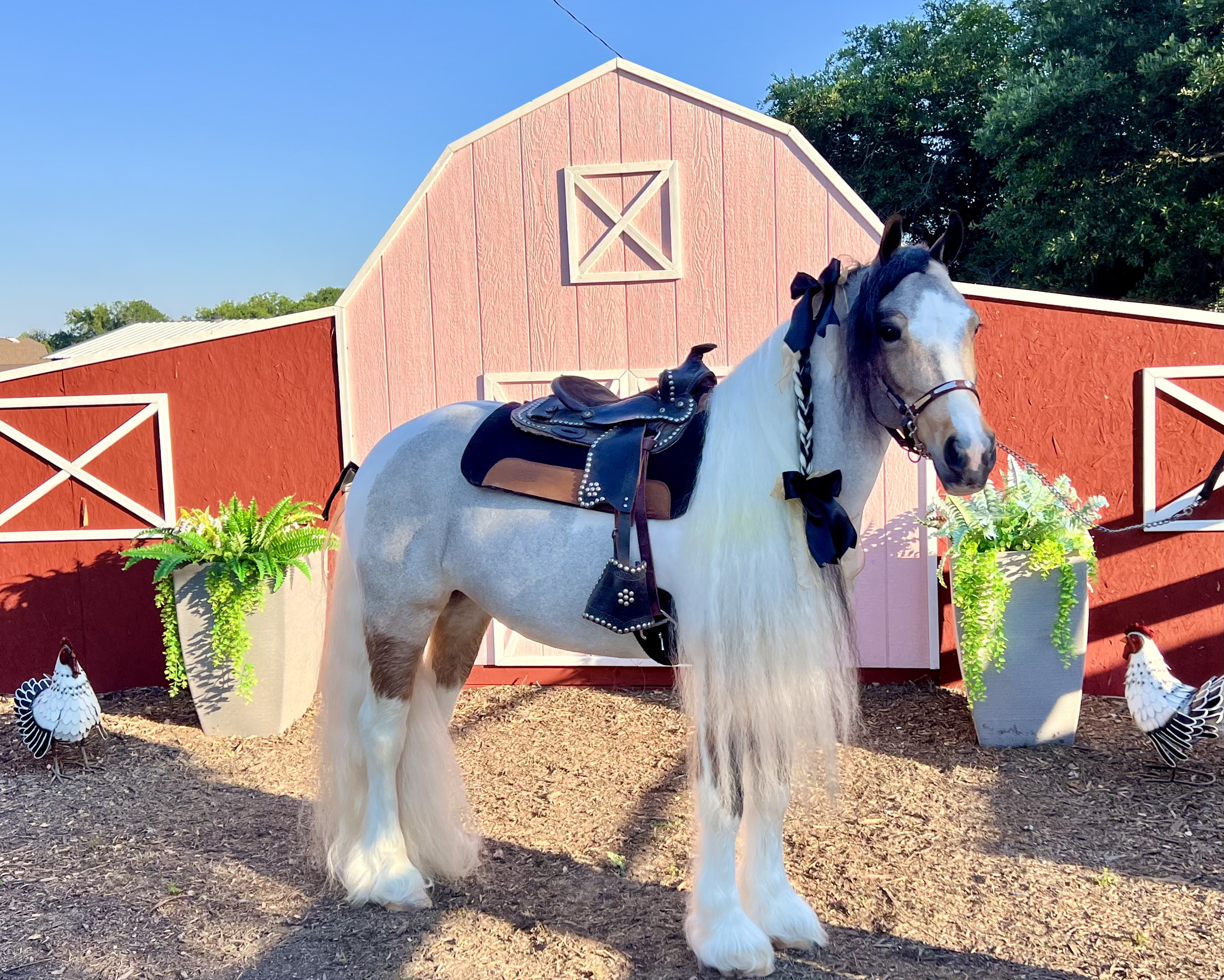 About – Texas Posh Pony Parties