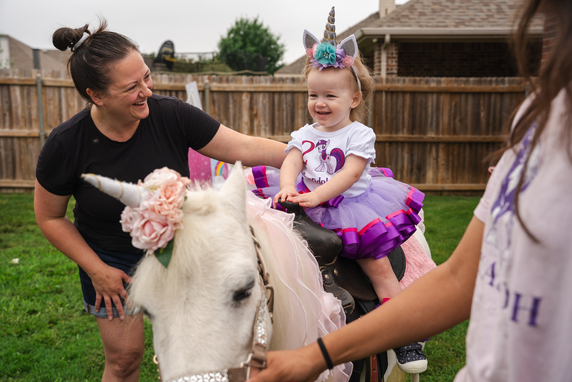 Meet Our Ponies – Texas Posh Pony Parties