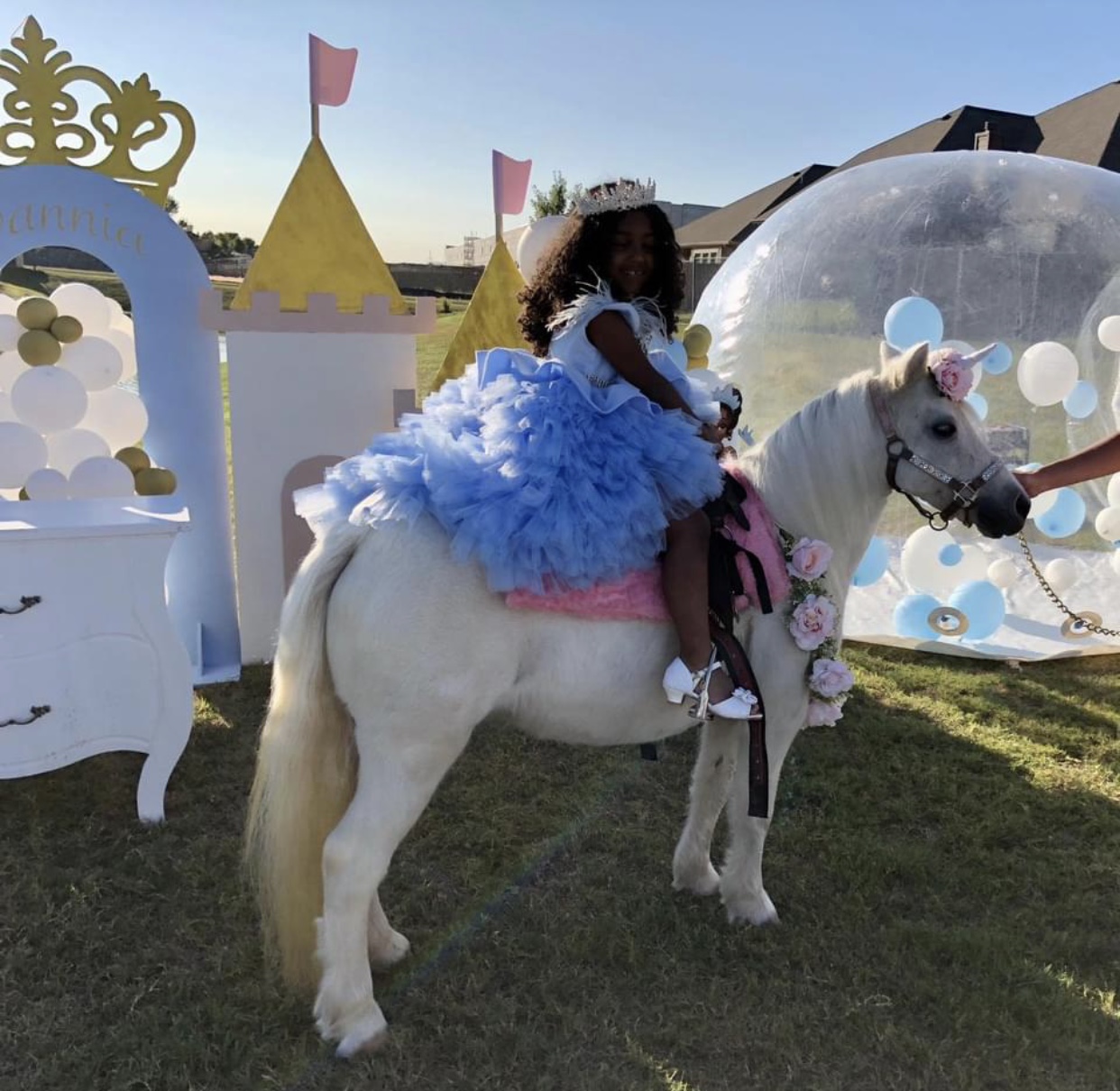 About – Texas Posh Pony Parties