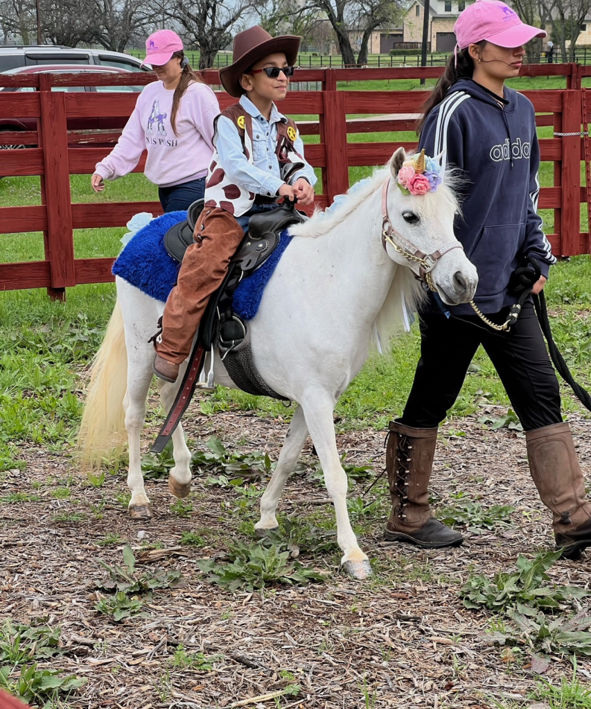 About – Texas Posh Pony Parties
