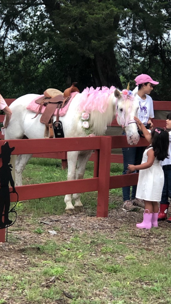 Meet Our Ponies – Texas Posh Pony Parties
