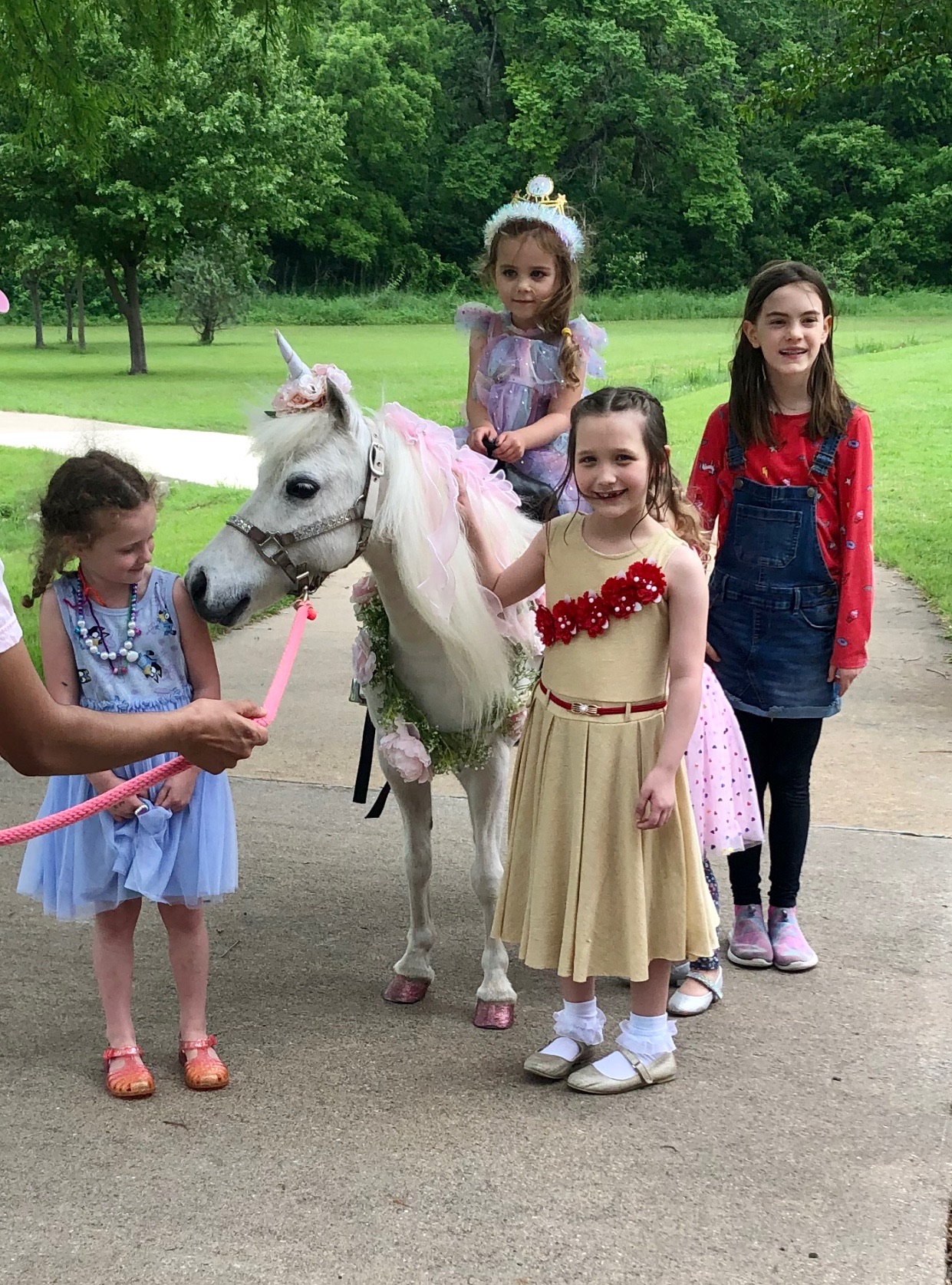 Texas Posh Pony Parties – Party service featuring one of a kind Gypsy ...