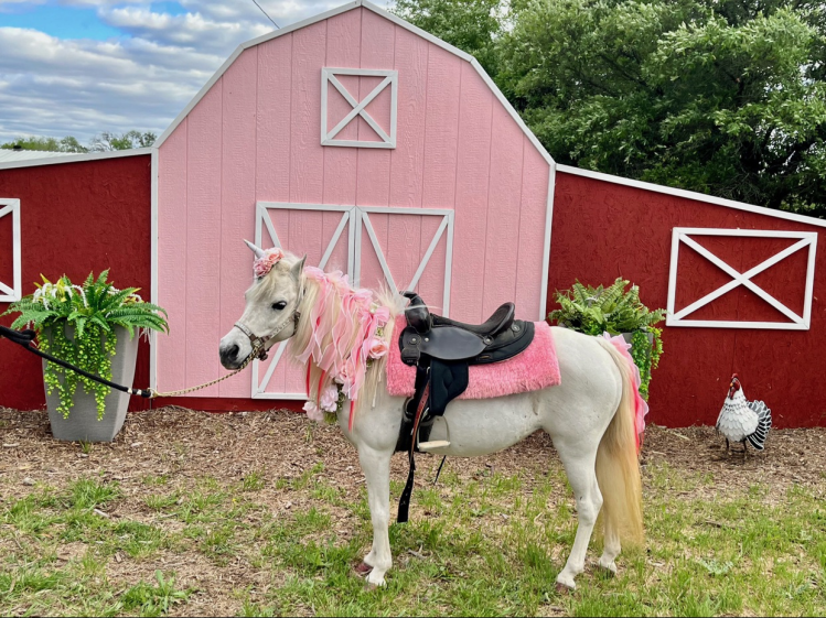 Rent our hassle free farm party venue! – Texas Posh Pony Parties