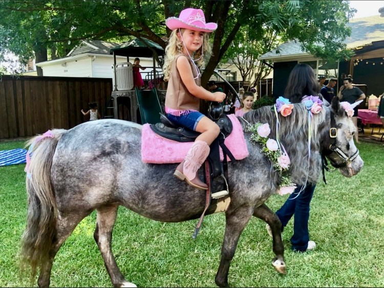 Meet Our Ponies – Texas Posh Pony Parties